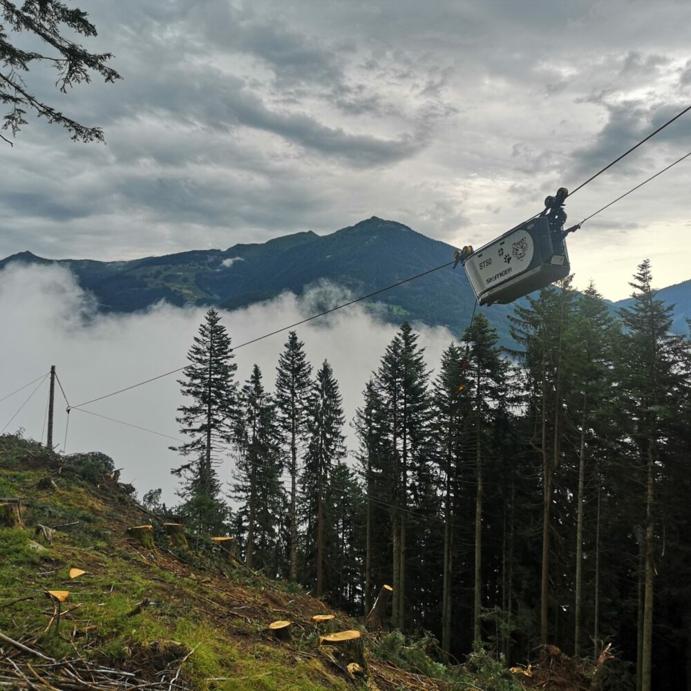 SEIK – new website online, explore the innovation that redefines ...